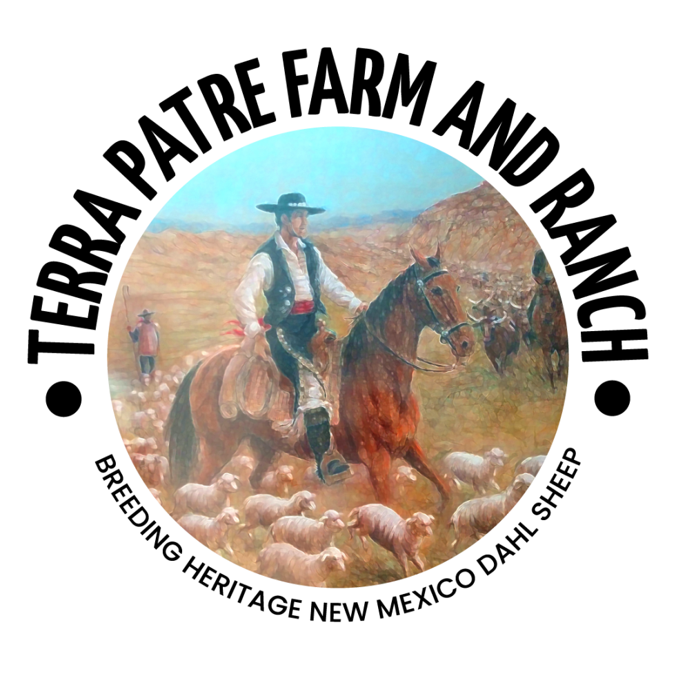 NEW MEXICO HERITAGE SHEEP | Terra Patre Farm and Ranch